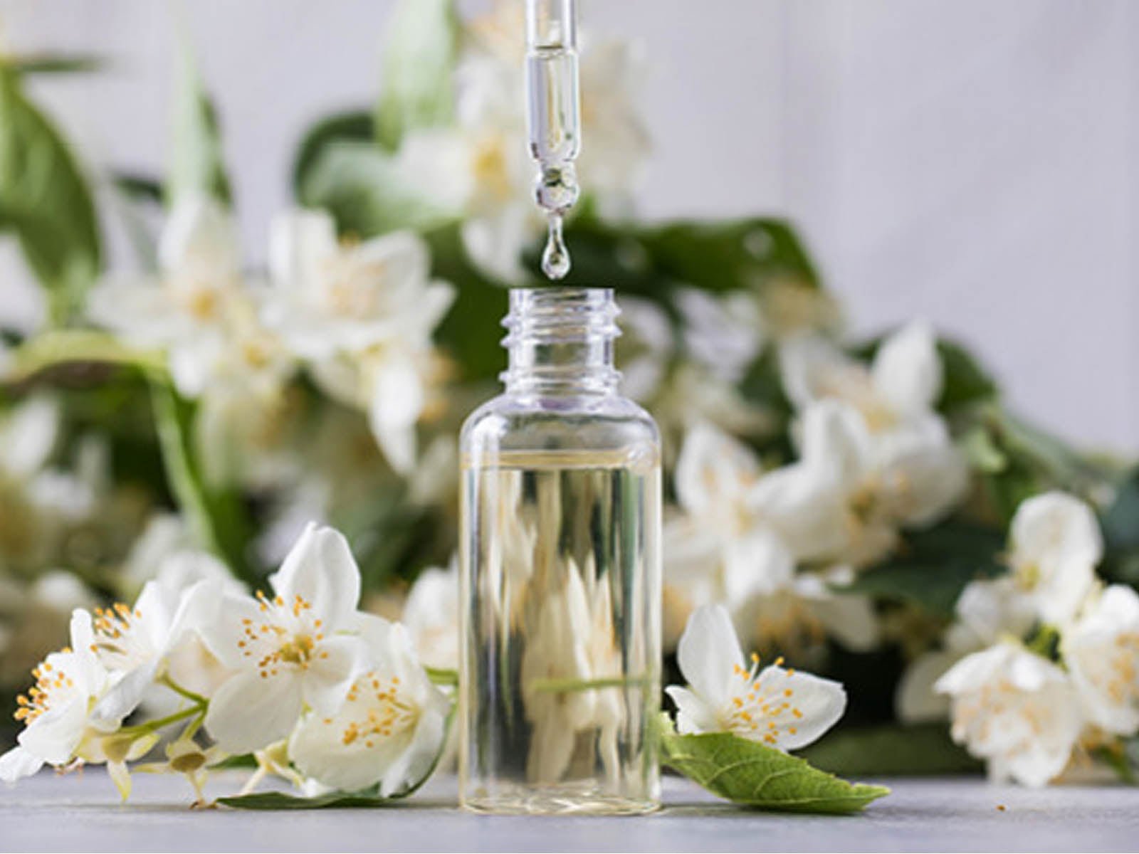 Panier des Sens | Jasmine's benefits for the skin